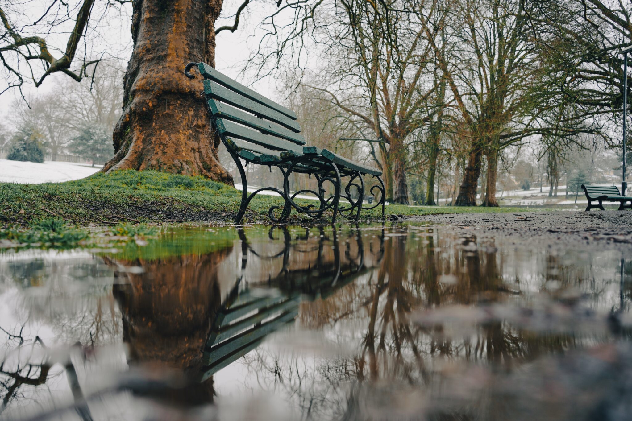 What Is The Ryff Scale For Mental Wellness - Blossom Your Awesome