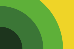 Mental Illness Flag | The Importance & Symbolism